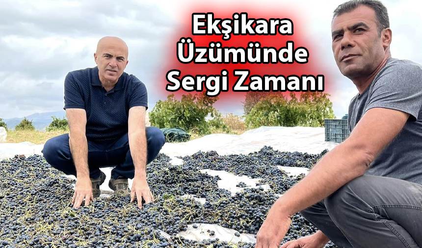 Ekşikara Üzümünde Sergi Zamanı Ekşikara Üzümünde Sergi Zamanı