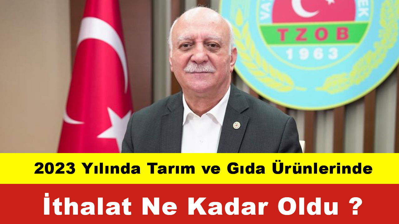 2023 Yılında Tarım ve Gıda Ürünlerinde İthalat Ne Kadar Oldu 2023 Yılında Tarım ve Gıda Ürünlerinde İthalat Ne Kadar Oldu