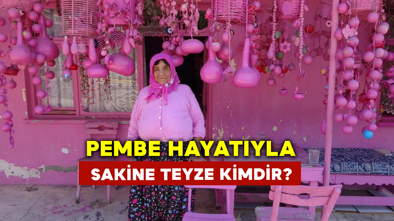 Pembe Hayatıyla Sakine Teyze Kimdir?